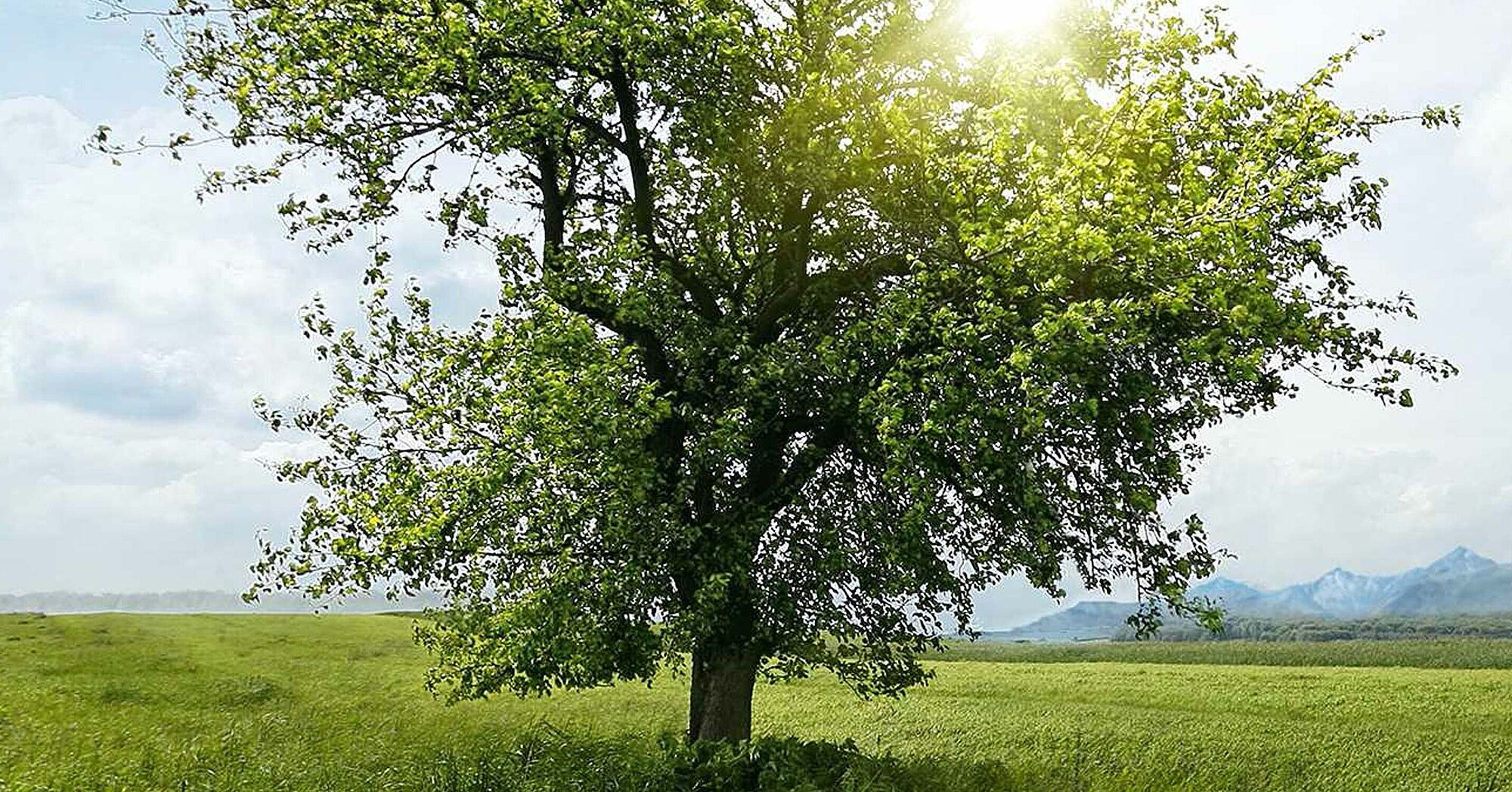 Nachhaltigkeit und Verantwortung Nachhaltigkeit und Verantwortung